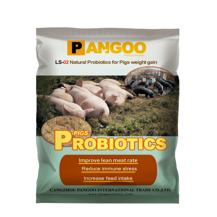 Probiotics in Pigs: Enhancing Gut Health and Performance in Swine ...