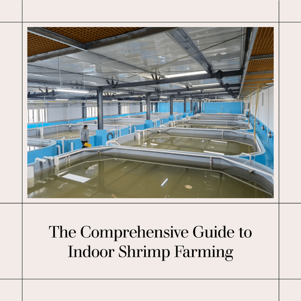 The Comprehensive Guide to Indoor Shrimp Farming – PANGOO